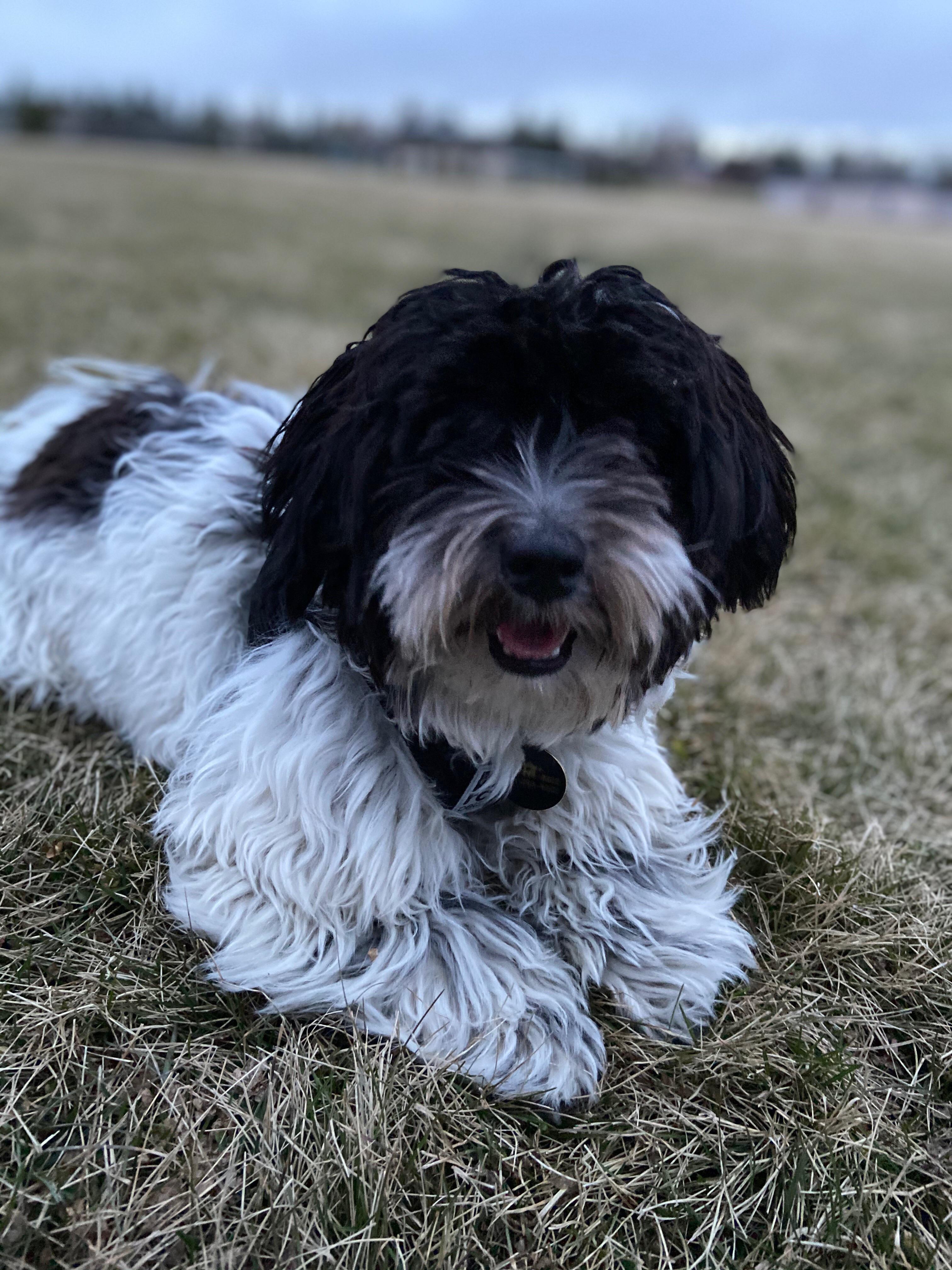 Milo loving life | Scrolller