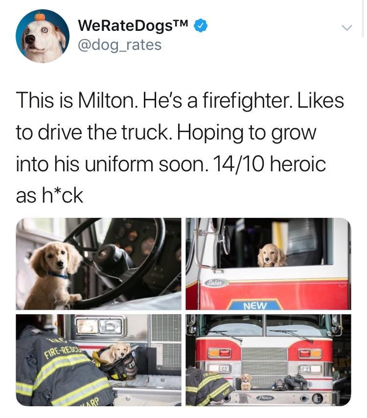 Milton the FIREFIGHTER Boy | Scrolller