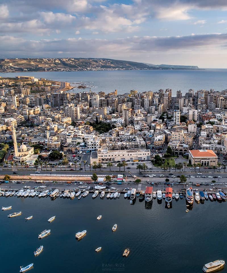 Mina Tripoli | Scrolller