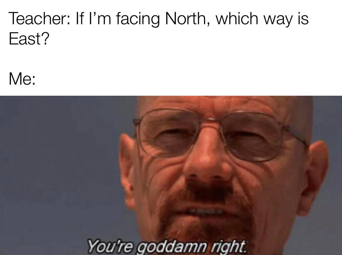 Mind size: mega | Scrolller