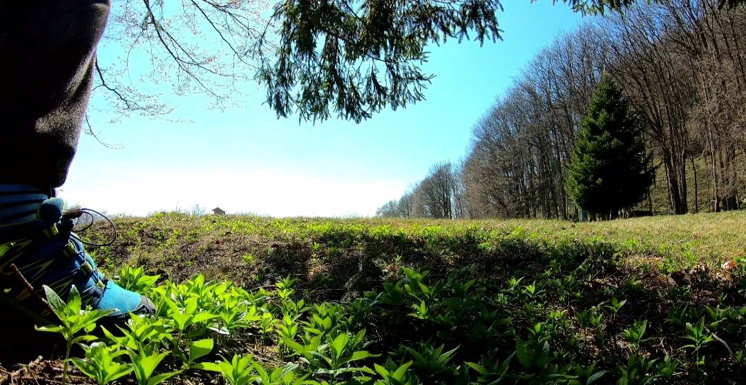 Mindfulness in full effect | Scrolller