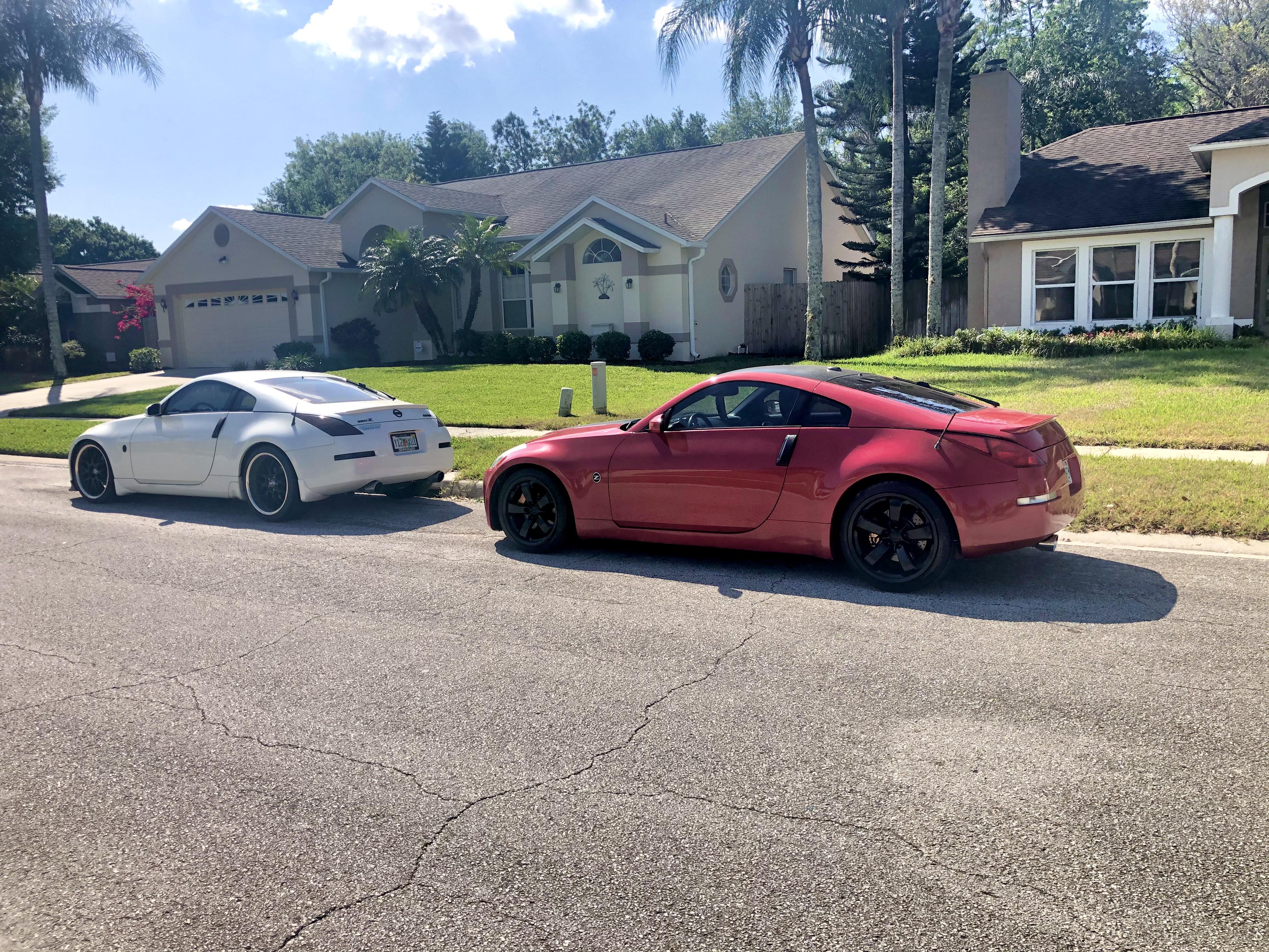 Mine and my neighbors Z | Scrolller