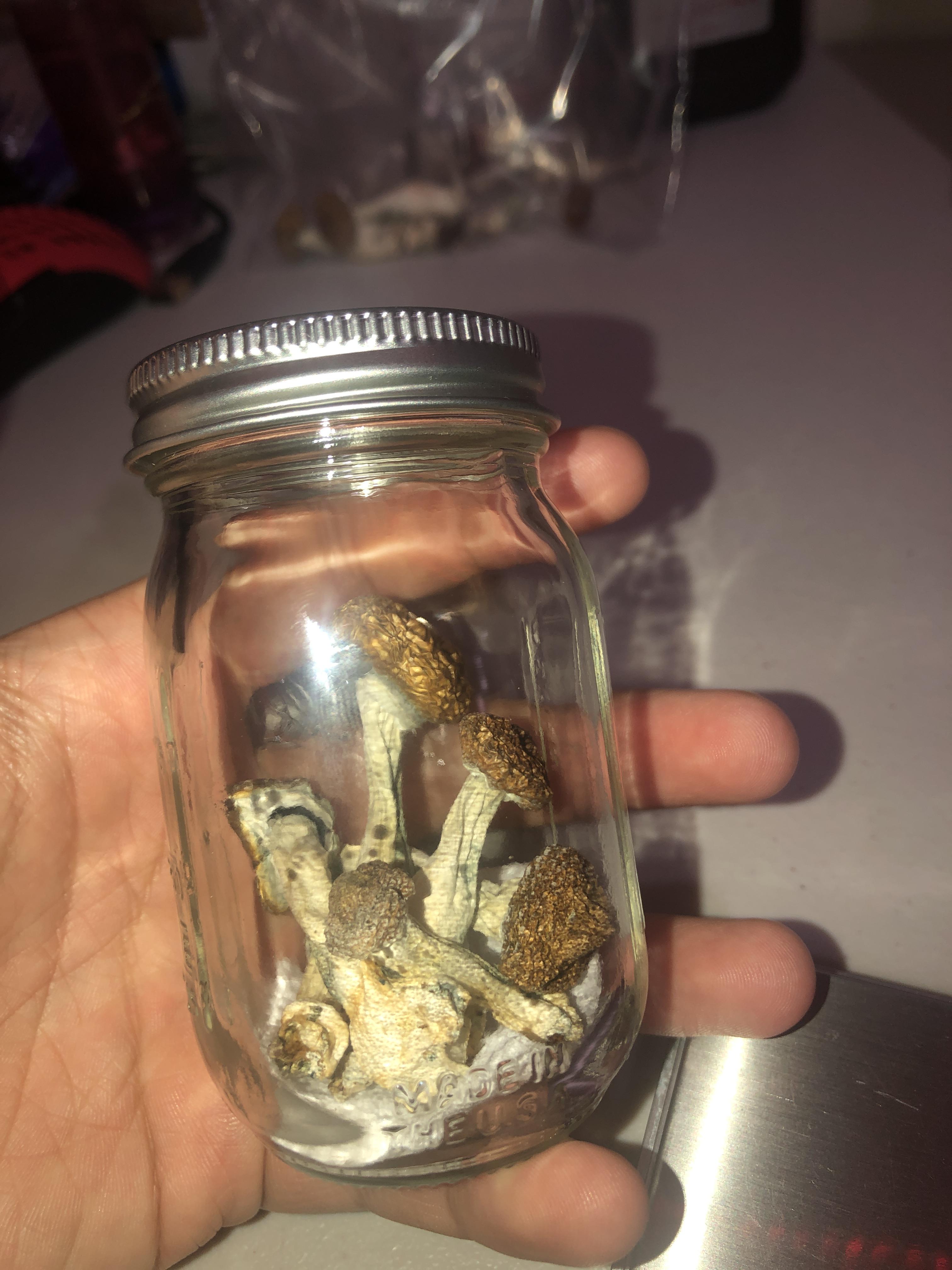 Mini mushroom jar 😆 | Scrolller