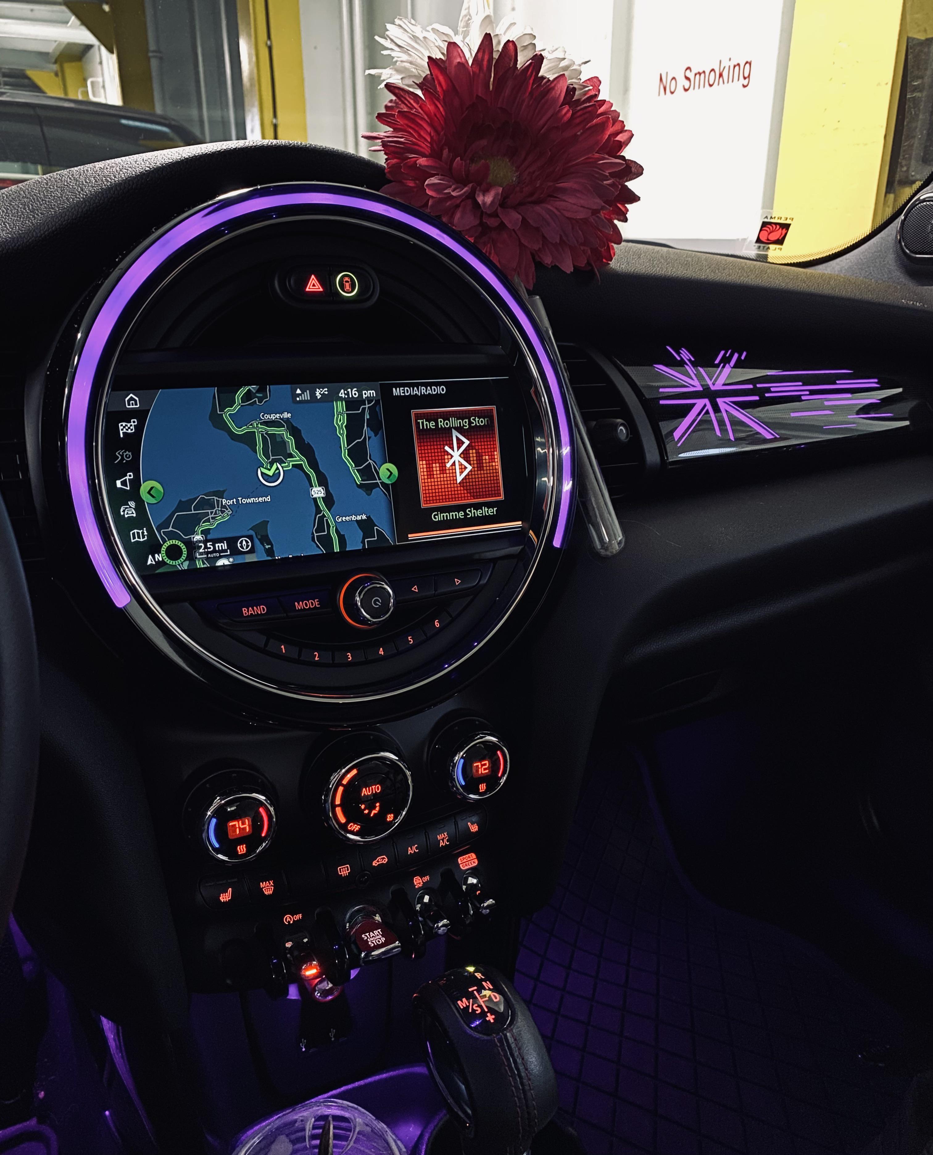 Mini’s first ferry ride | Scrolller