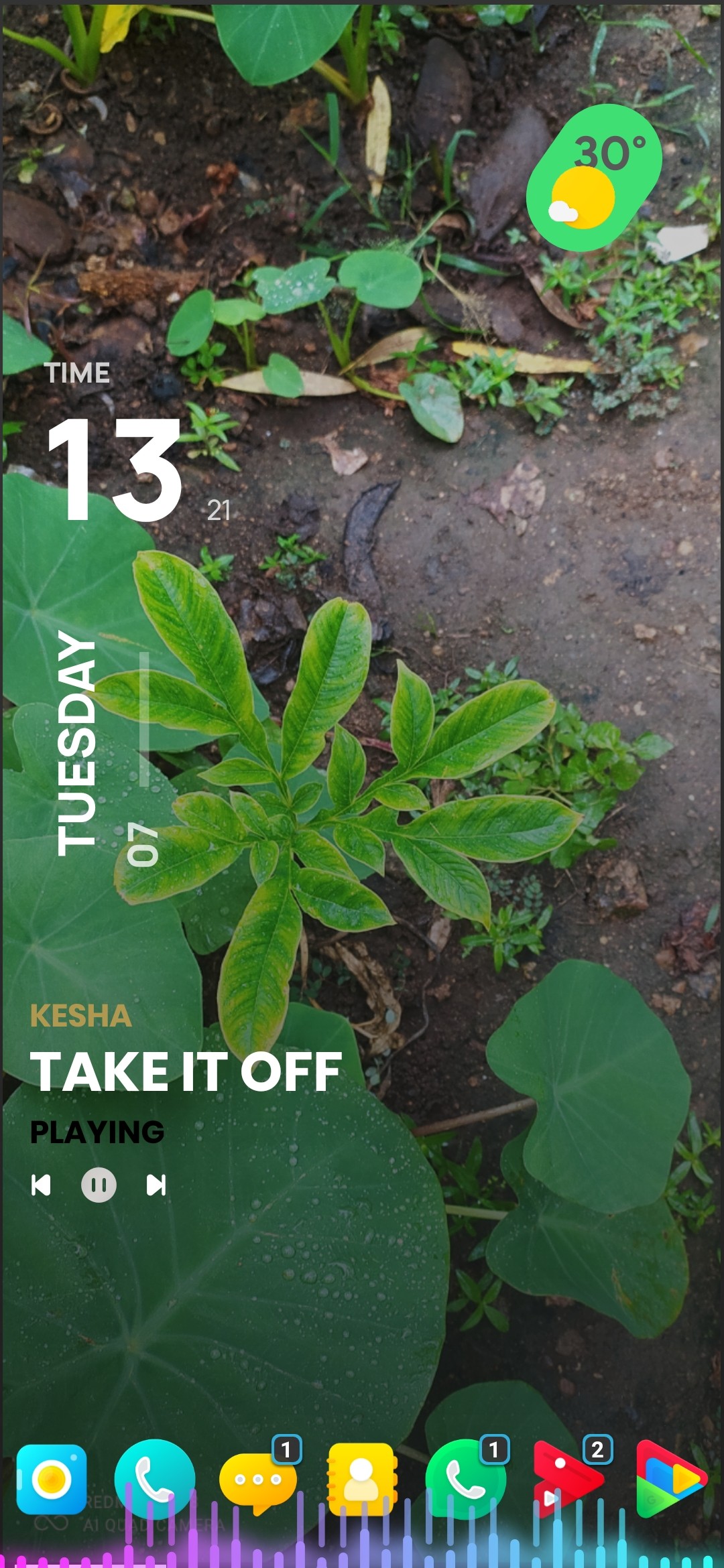 Minimal Greenery | Scrolller