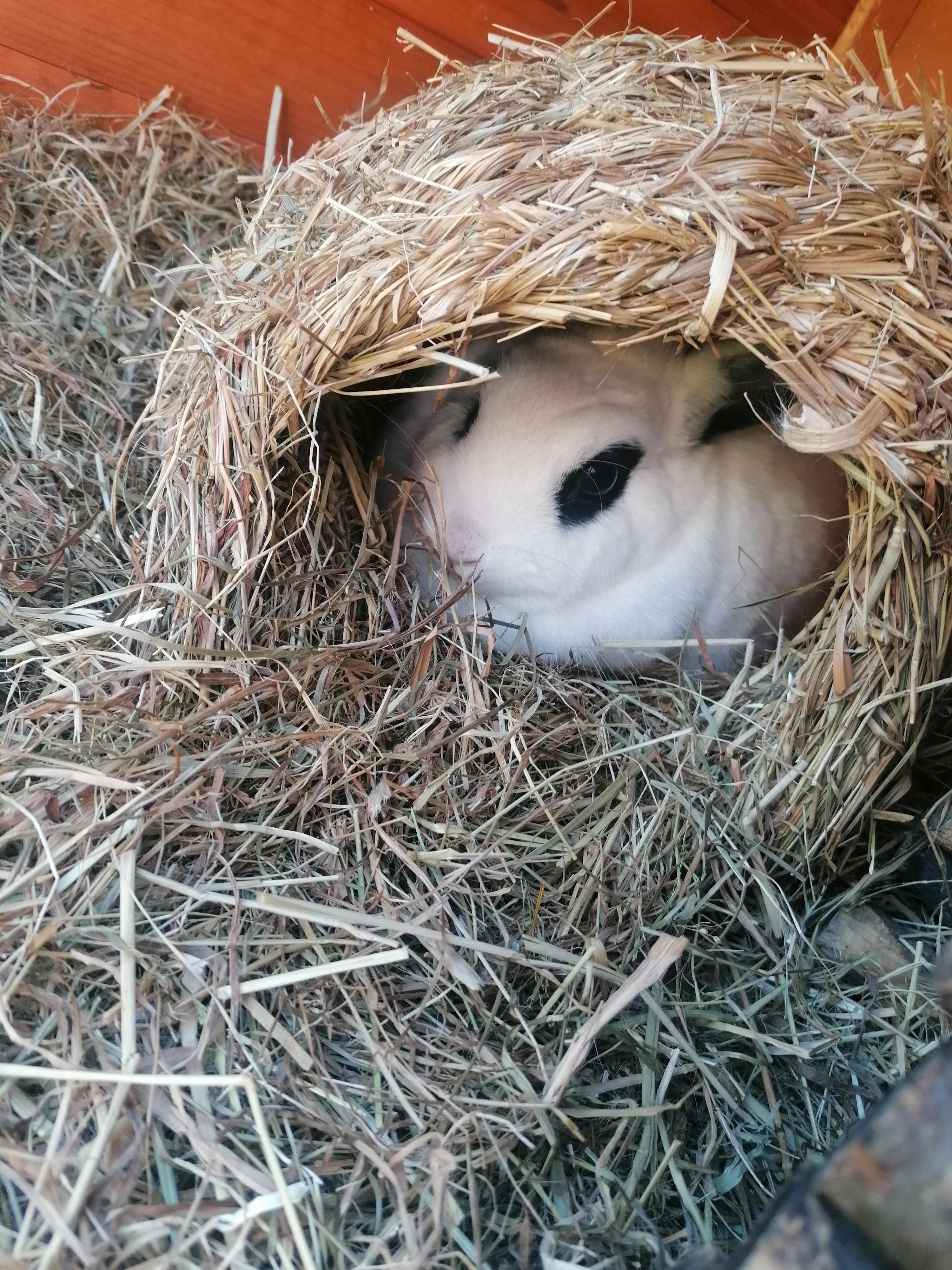 Minnie, my precious little egg | Scrolller