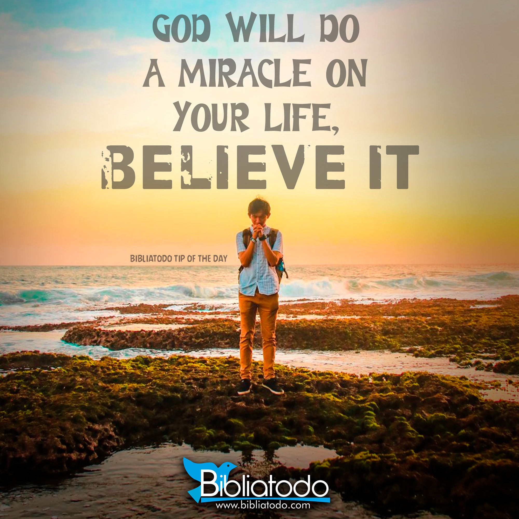 Miracles | Scrolller