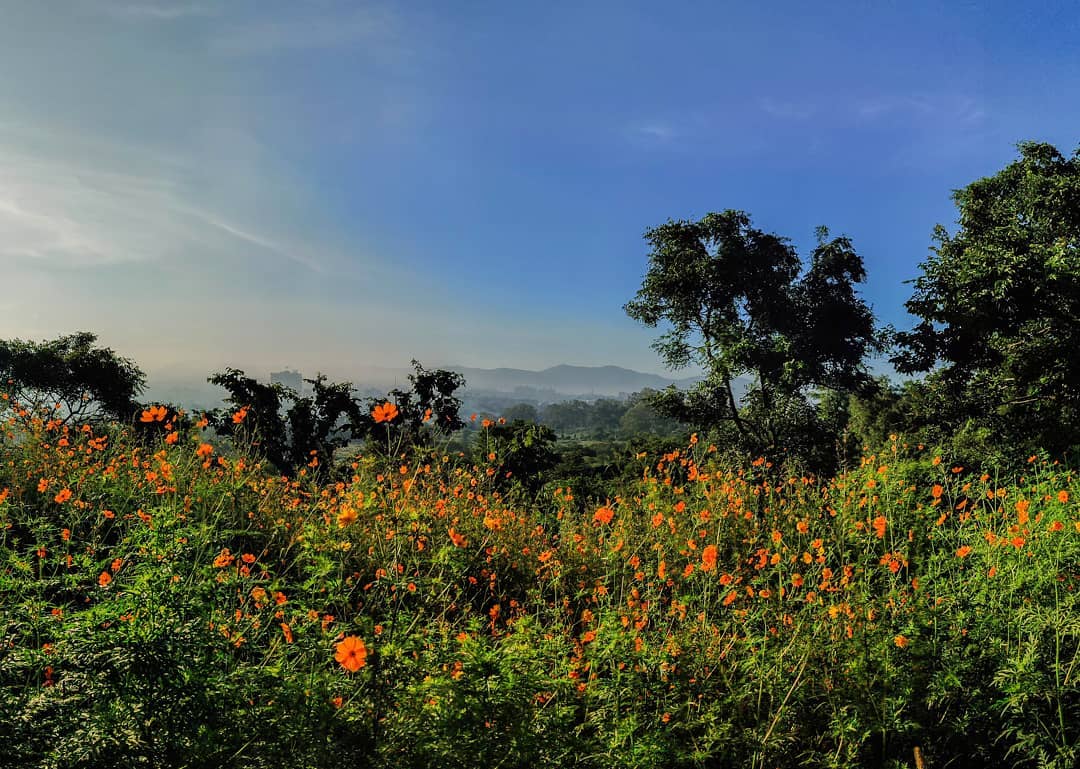 Miss Going To Taljai Tekdi Clicked In October 2019 Scrolller