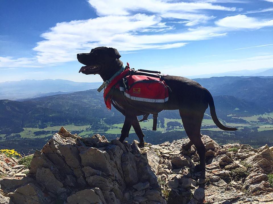 Miss Minnie rocking our 24K trail run | Scrolller