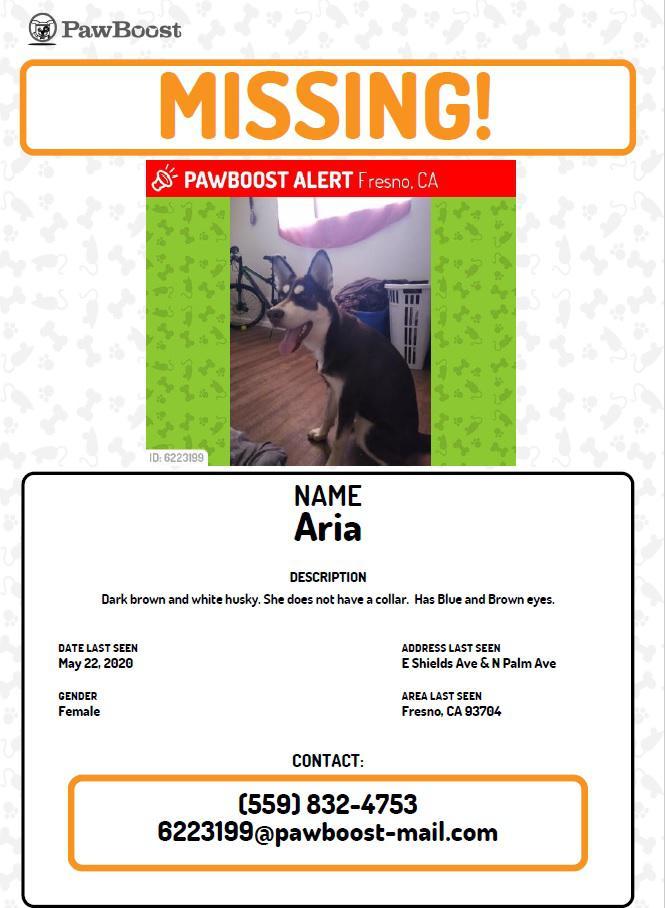 Missing Husky | Scrolller