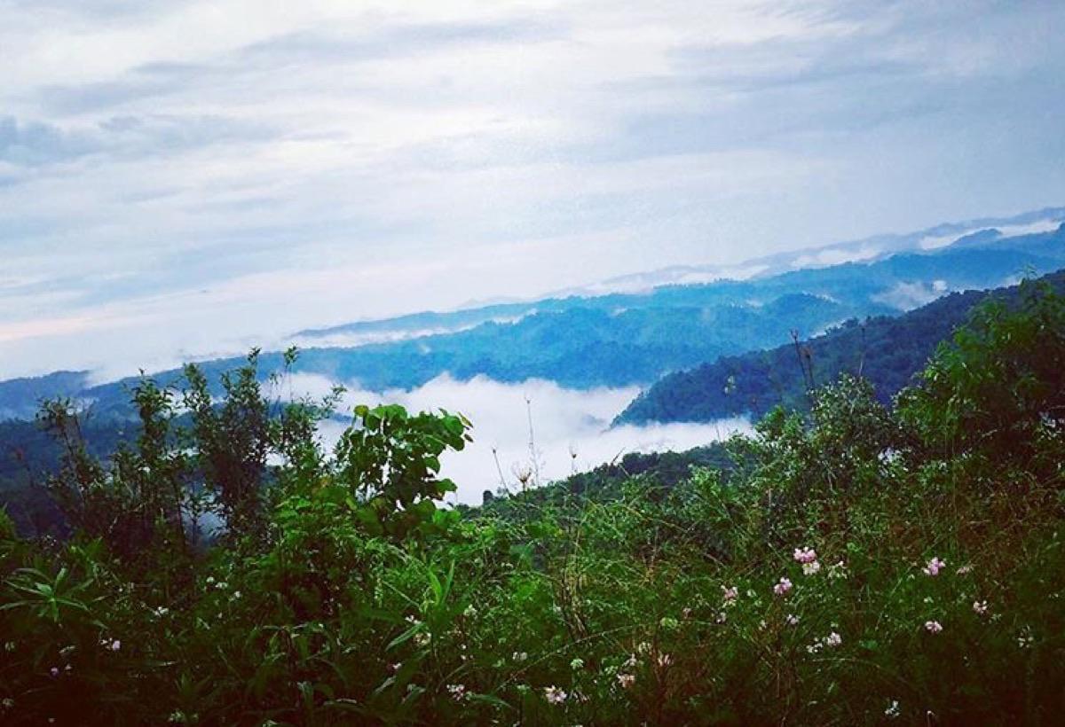 Misty mountains, Pike County | Scrolller