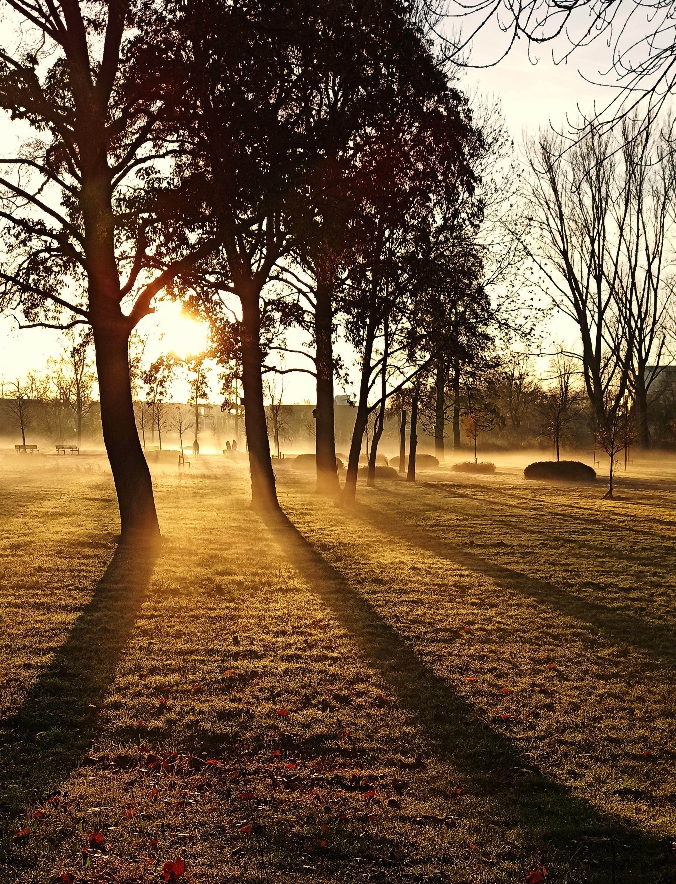 Misty sunrise | Scrolller