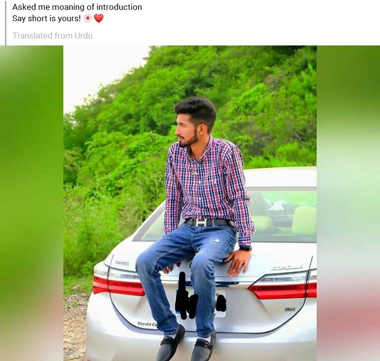 Moaning of introduction | Scrolller