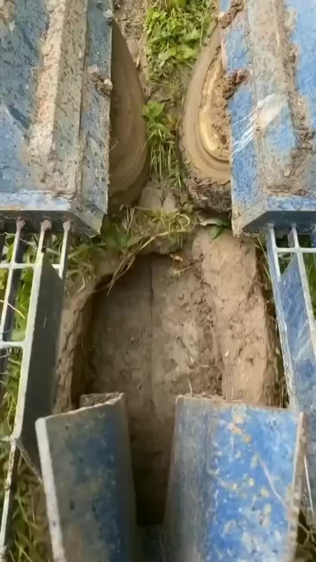 Modern Day Mass Planting | Scrolller