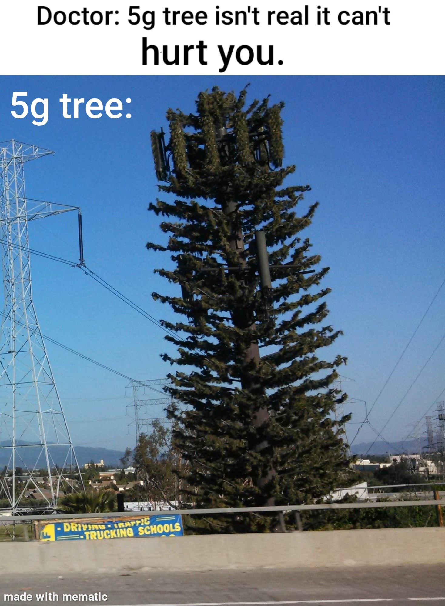 Modern day memes | Scrolller