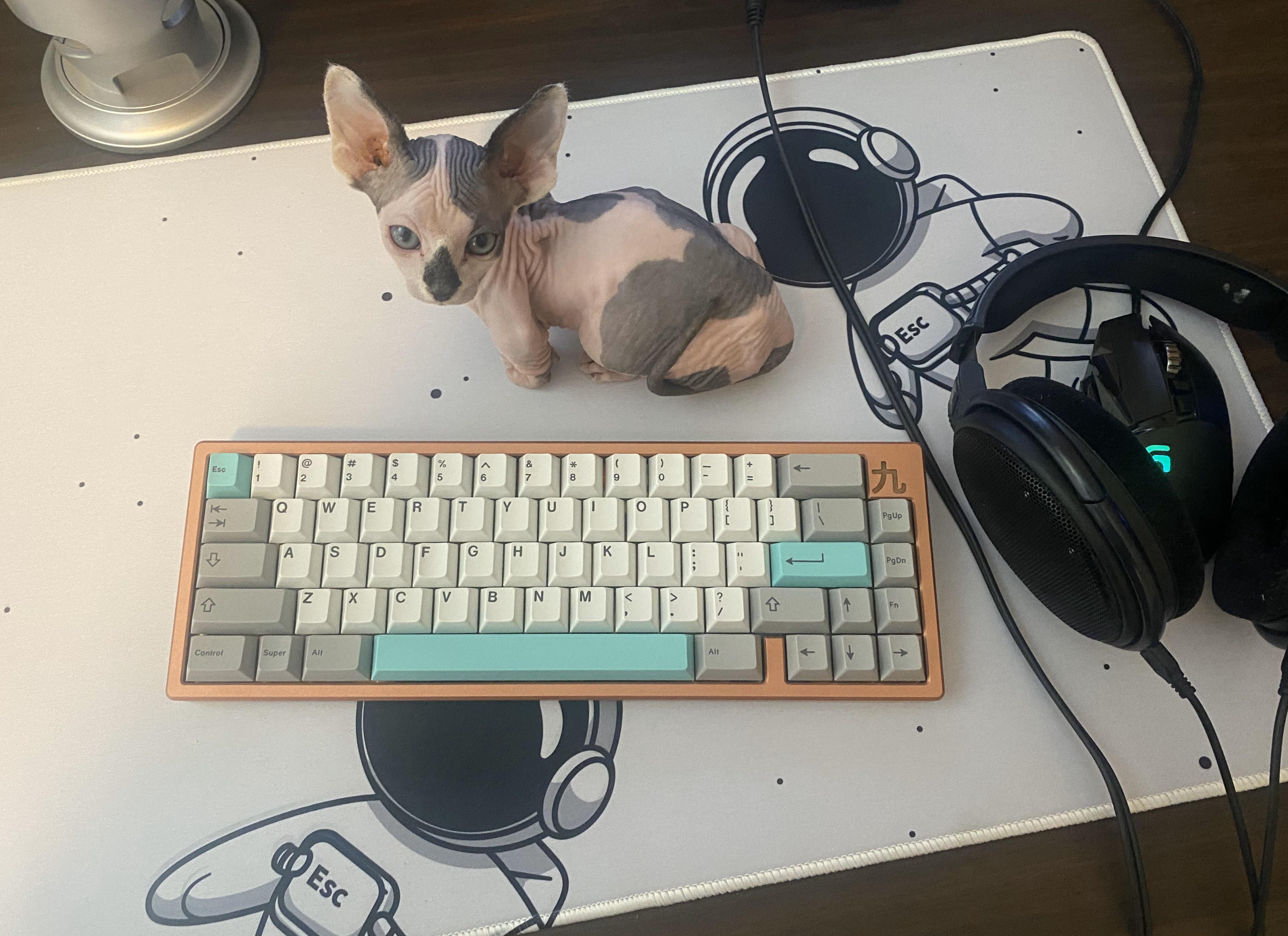 Modo Light on the Peachyuu | Scrolller