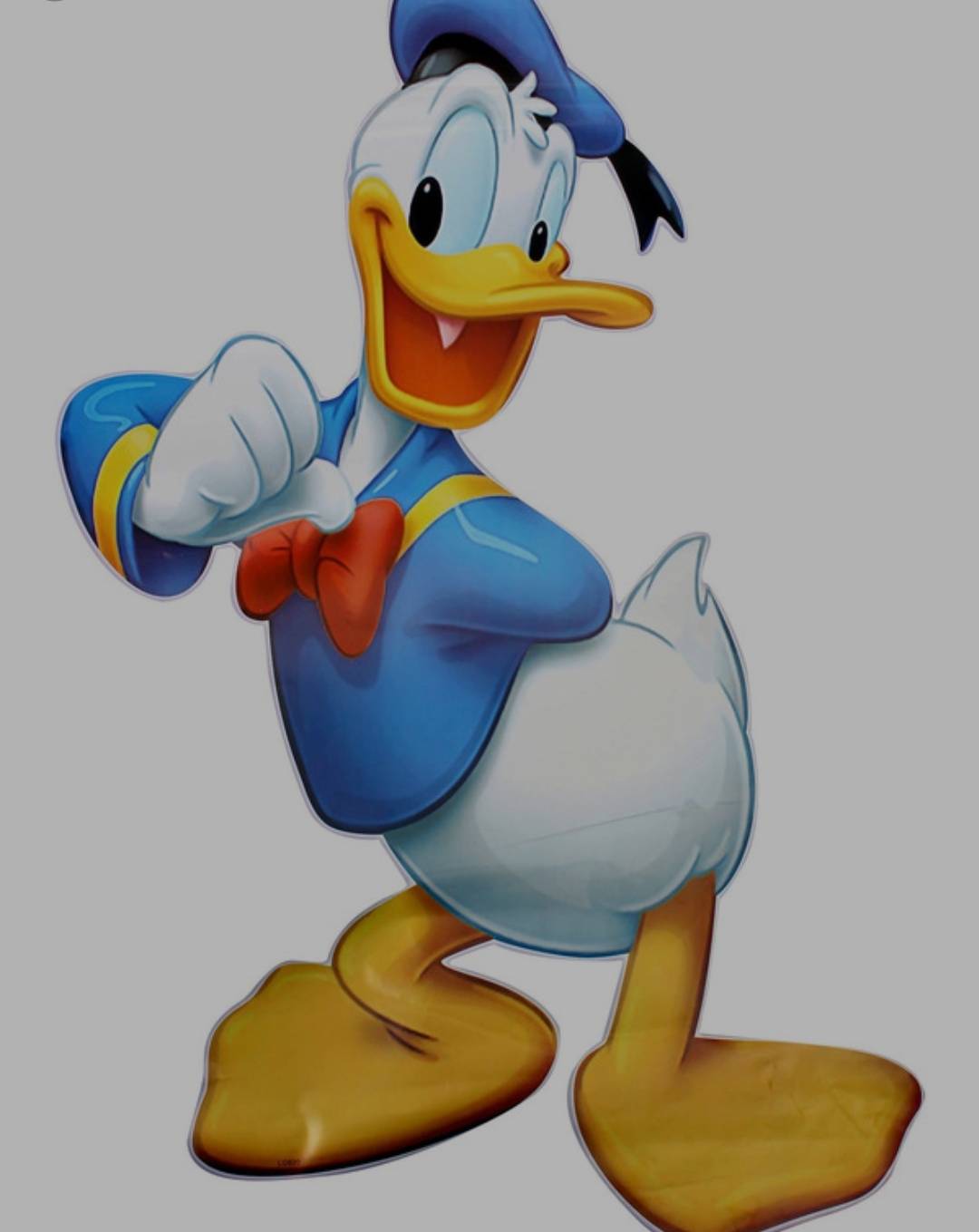 Mods are asleep, upvote pics of donald duck. | Scrolller