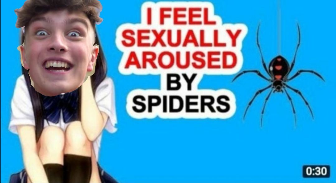 mogz like spider | Scrolller