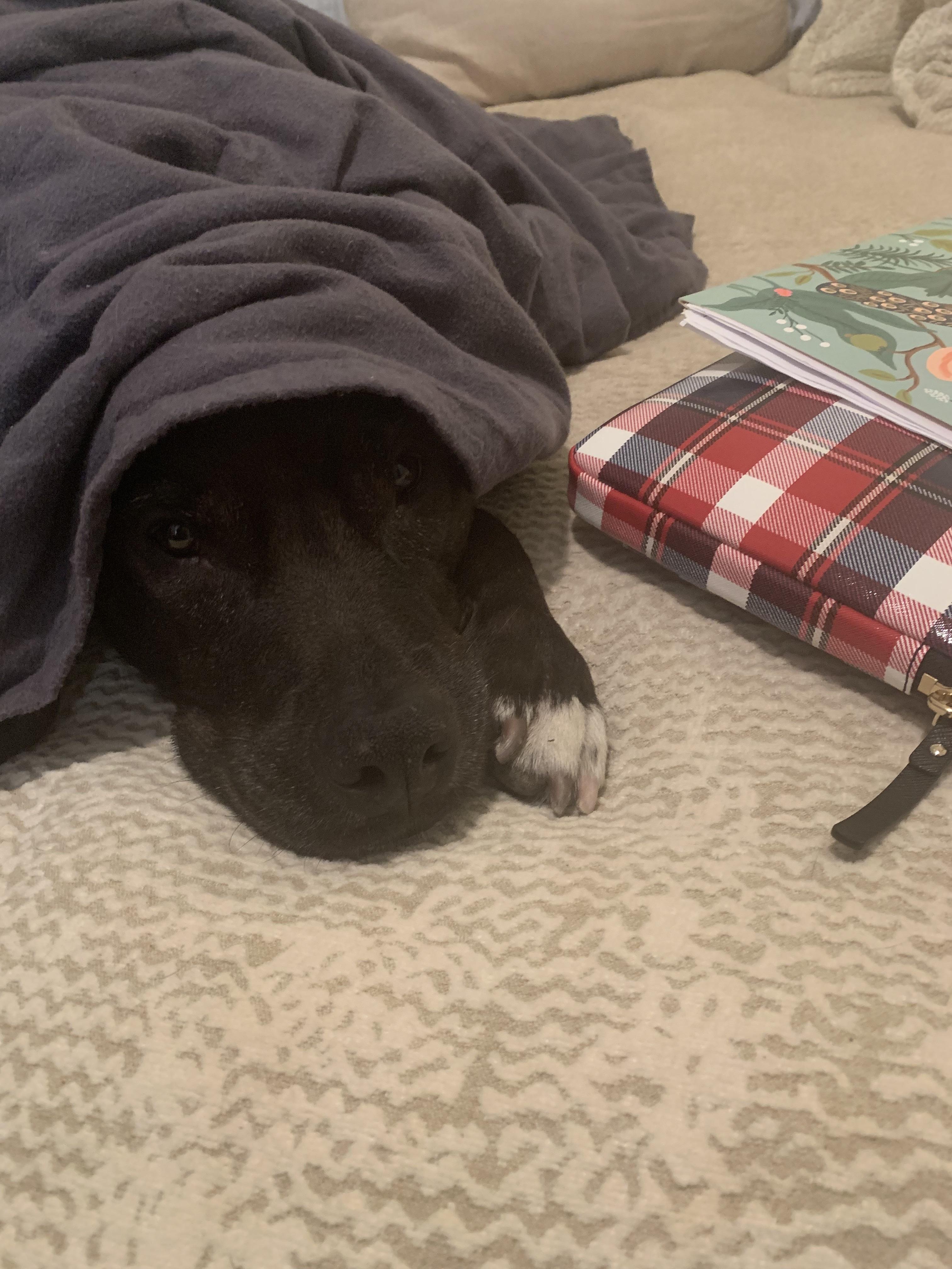 Mom, please stop procrastinating, get some work done, and let me live my life. | Scrolller