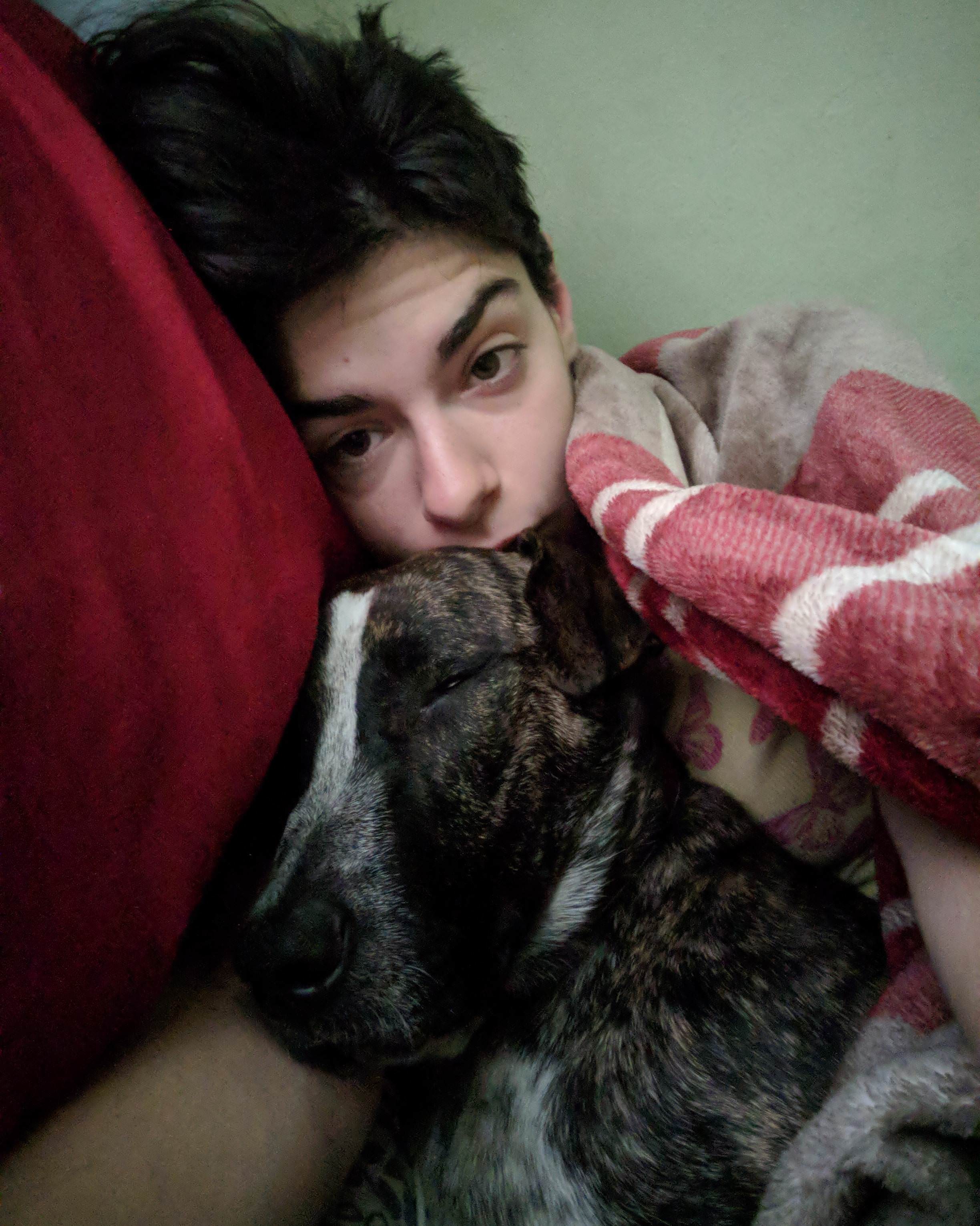 Mommy has to go to work, pupper :( | Scrolller