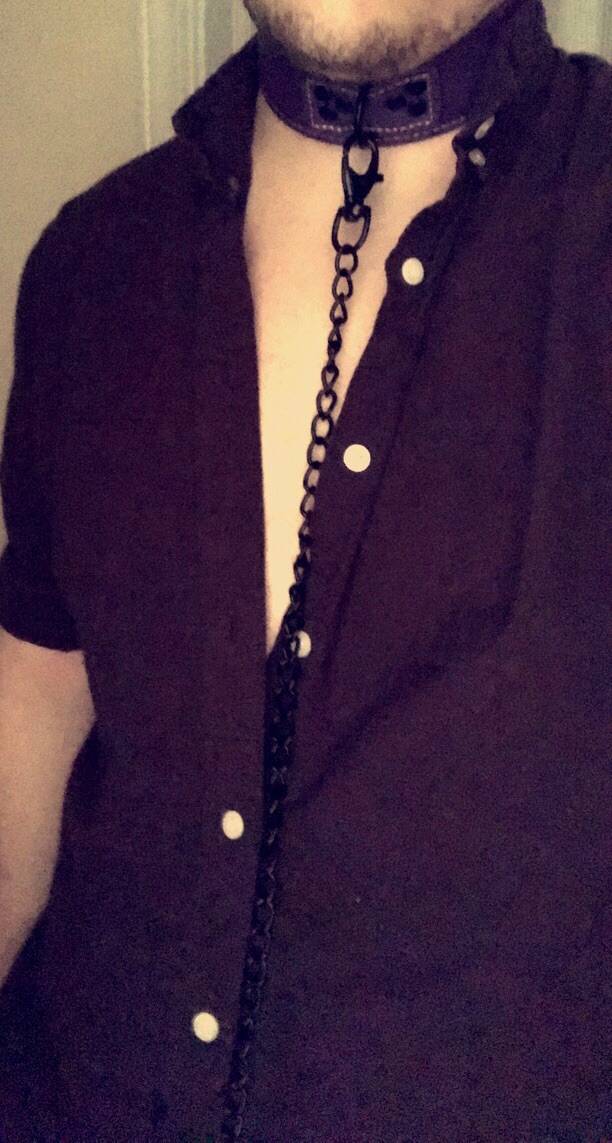 Mommy likes me collared and leashed around the house :) | Scrolller