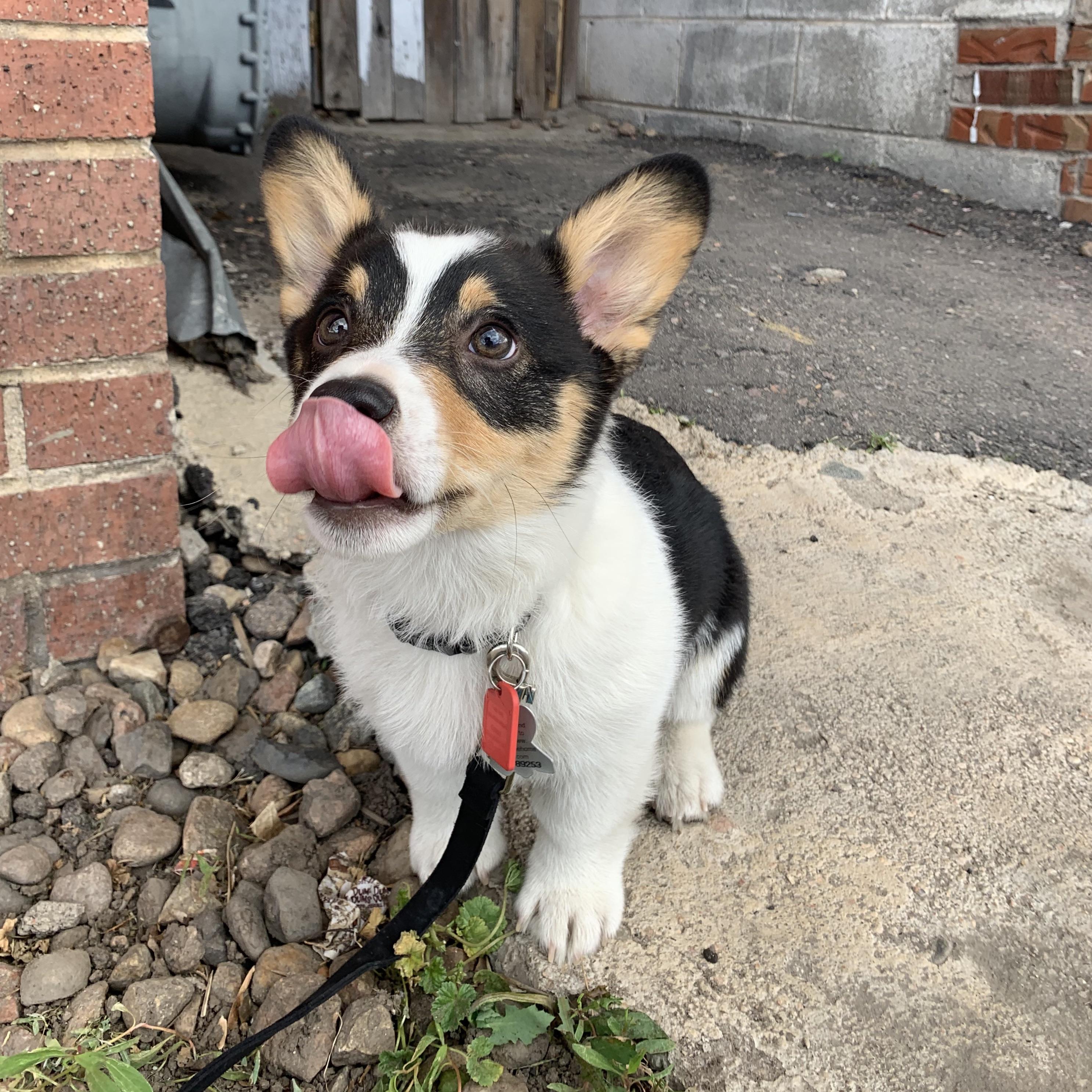 Monday mlem! | Scrolller