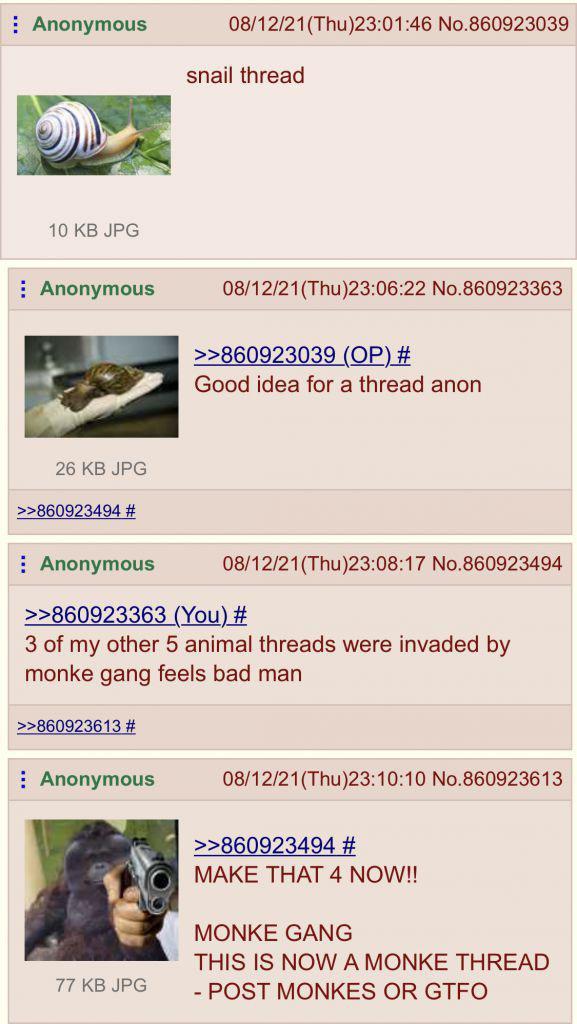 Monke Gang | Scrolller