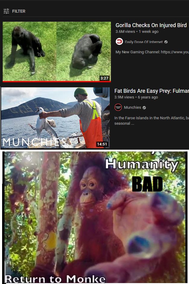 Monke good | Scrolller