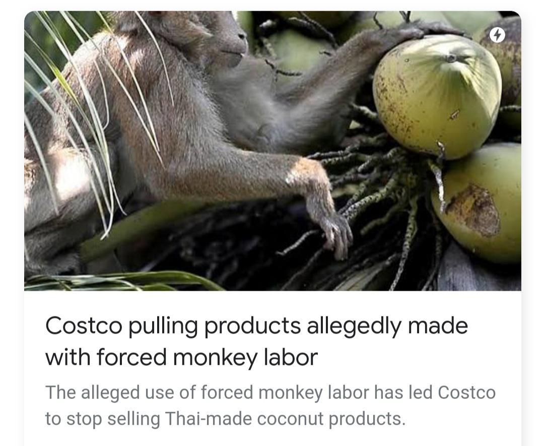 Monke slavery | Scrolller