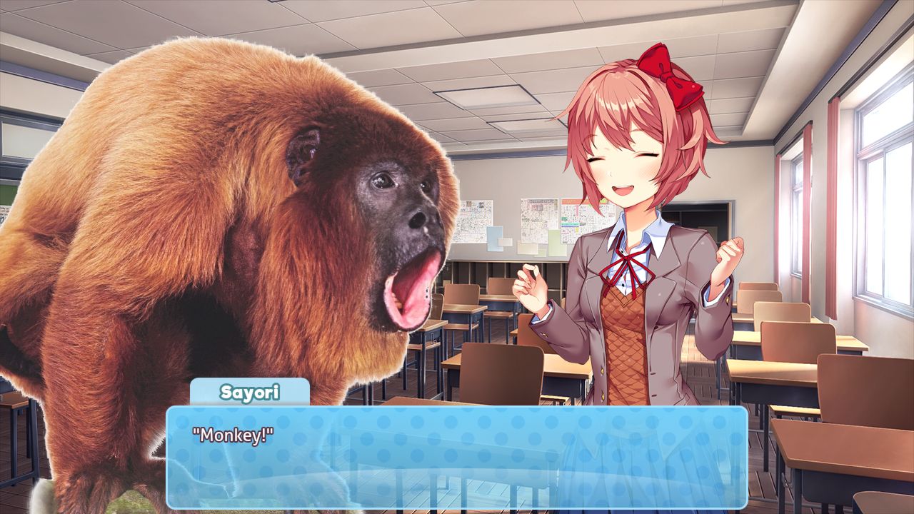 Monkey in the Club | Scrolller