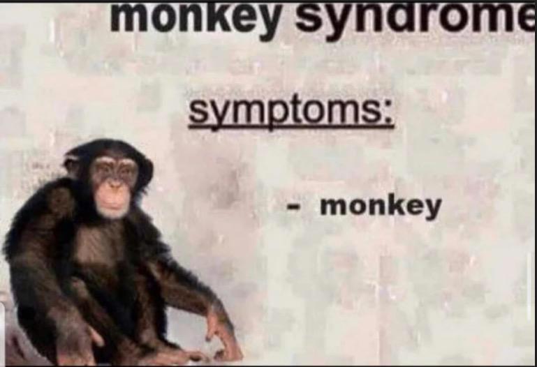 monkey rule | Scrolller