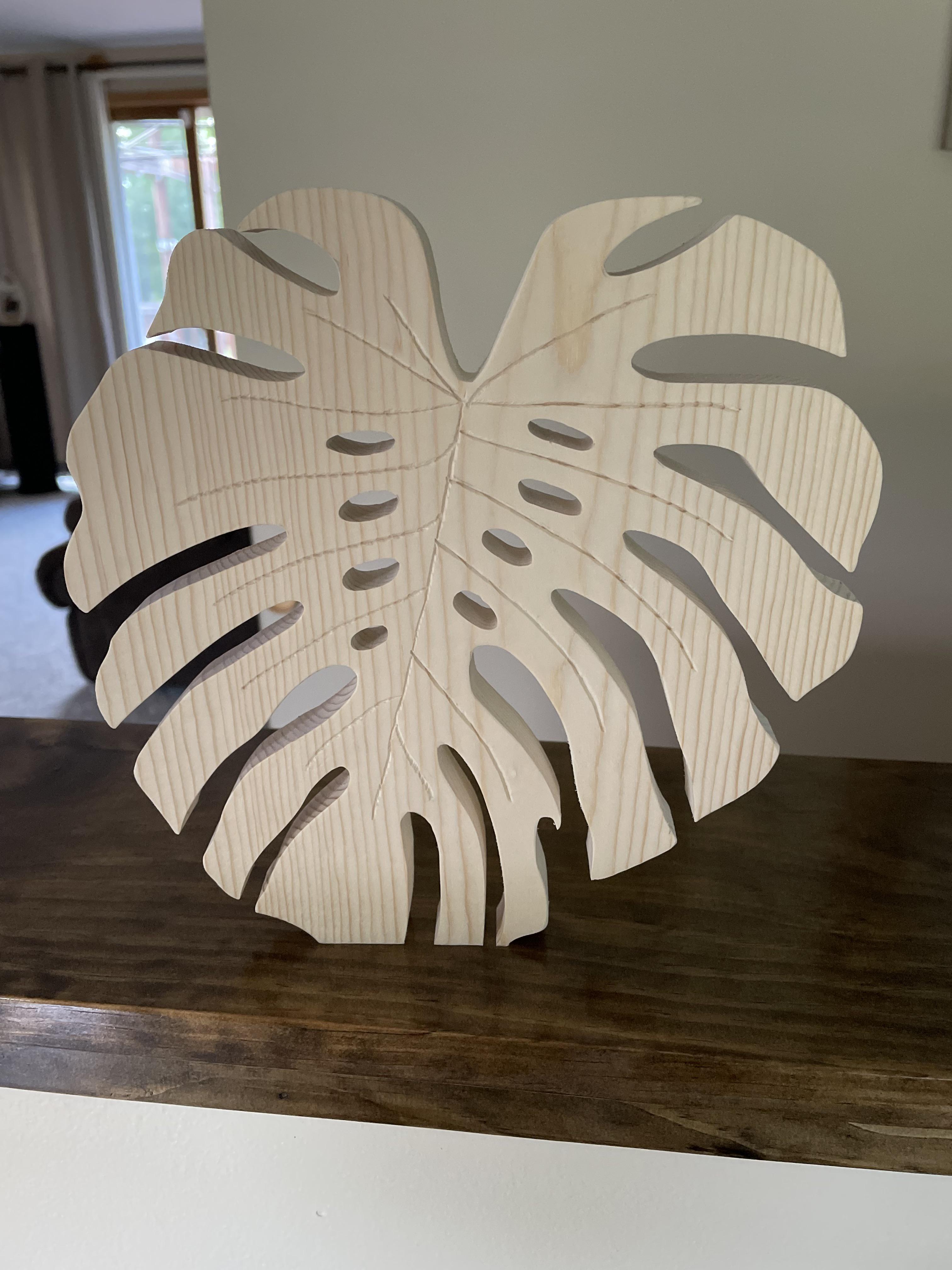 Monstera leaf | Scrolller