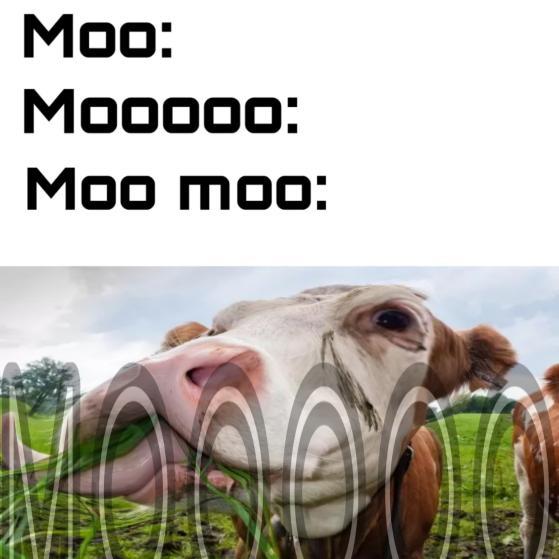 moo | Scrolller