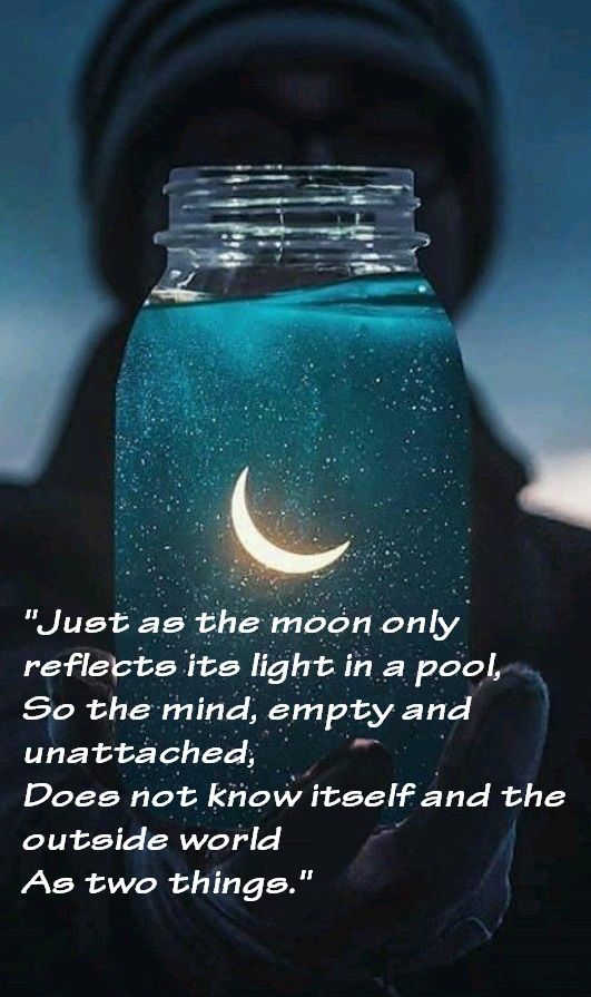 moon in the jar | Scrolller