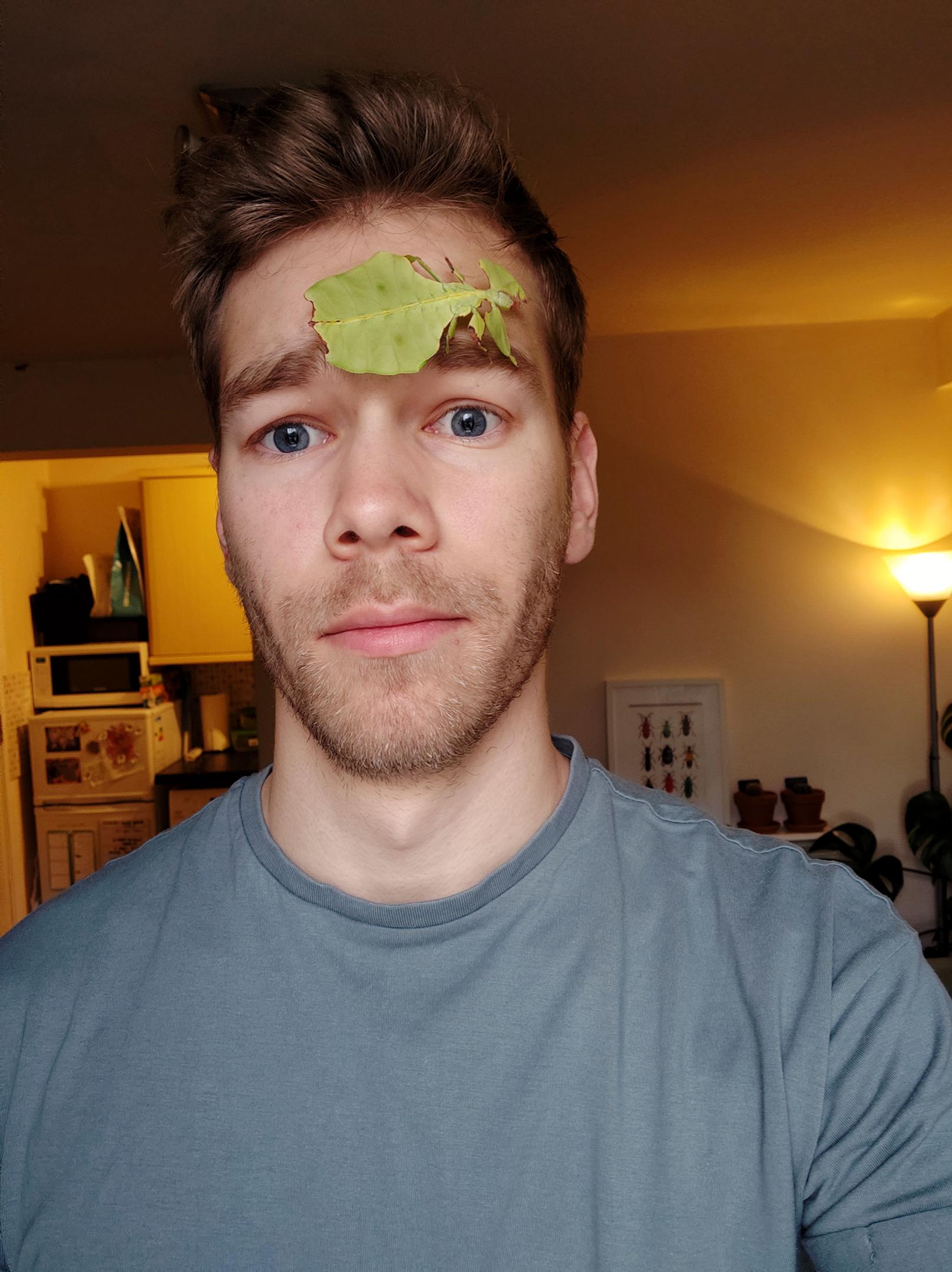 More leafy content | Scrolller