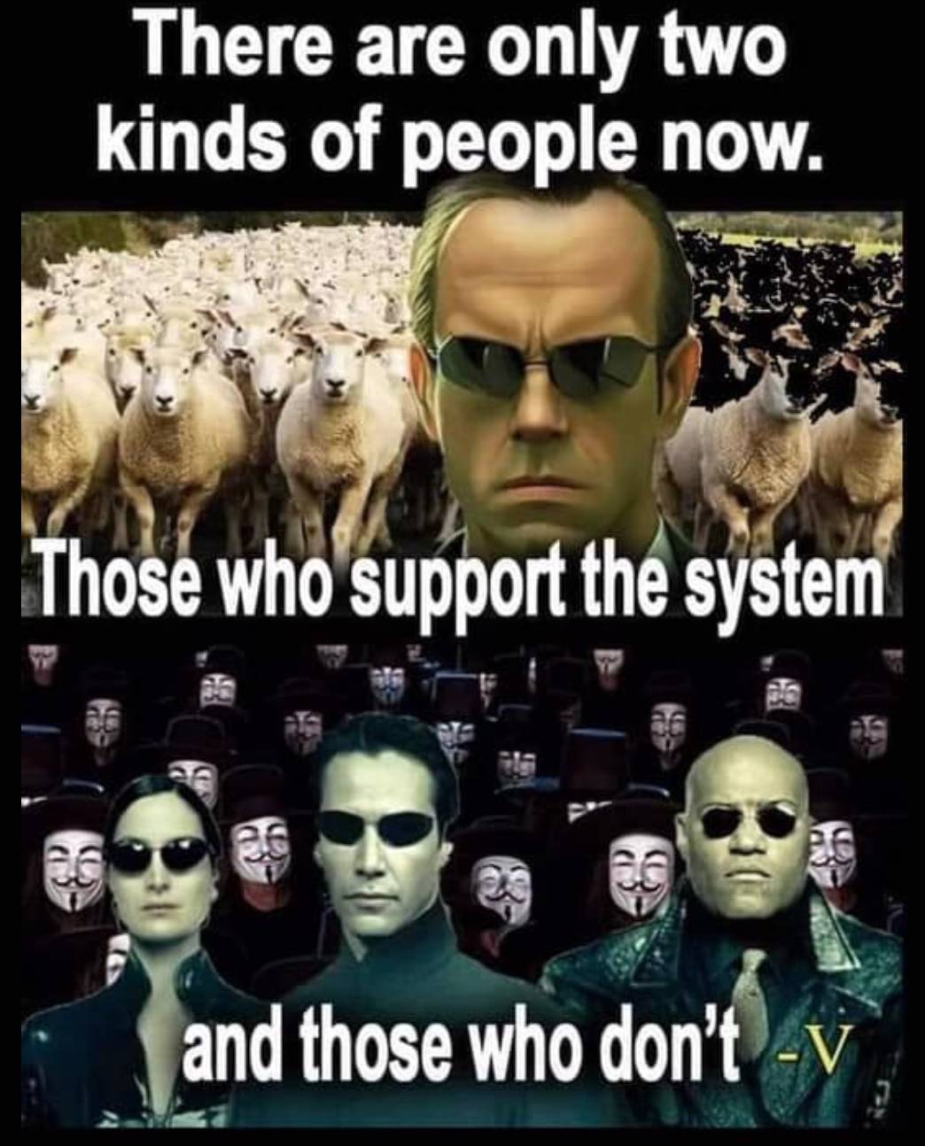 more of this shit | Scrolller