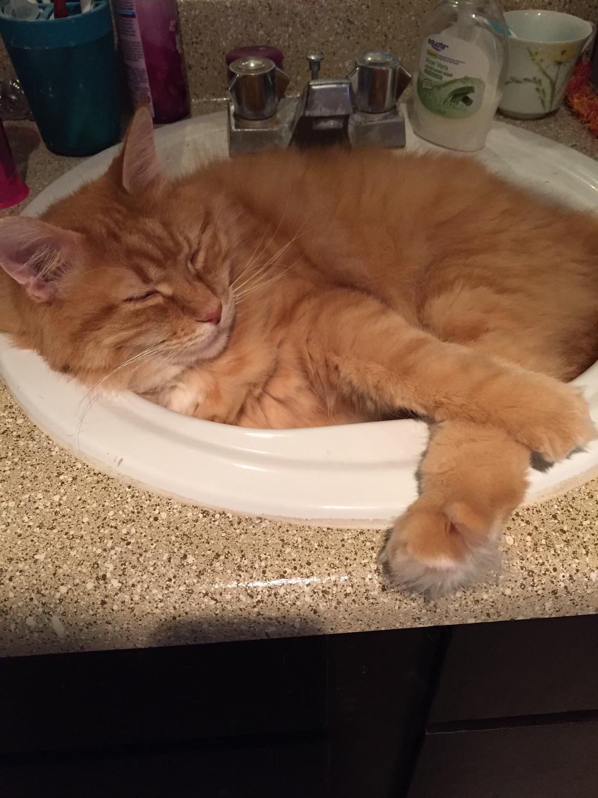 More sink boi | Scrolller