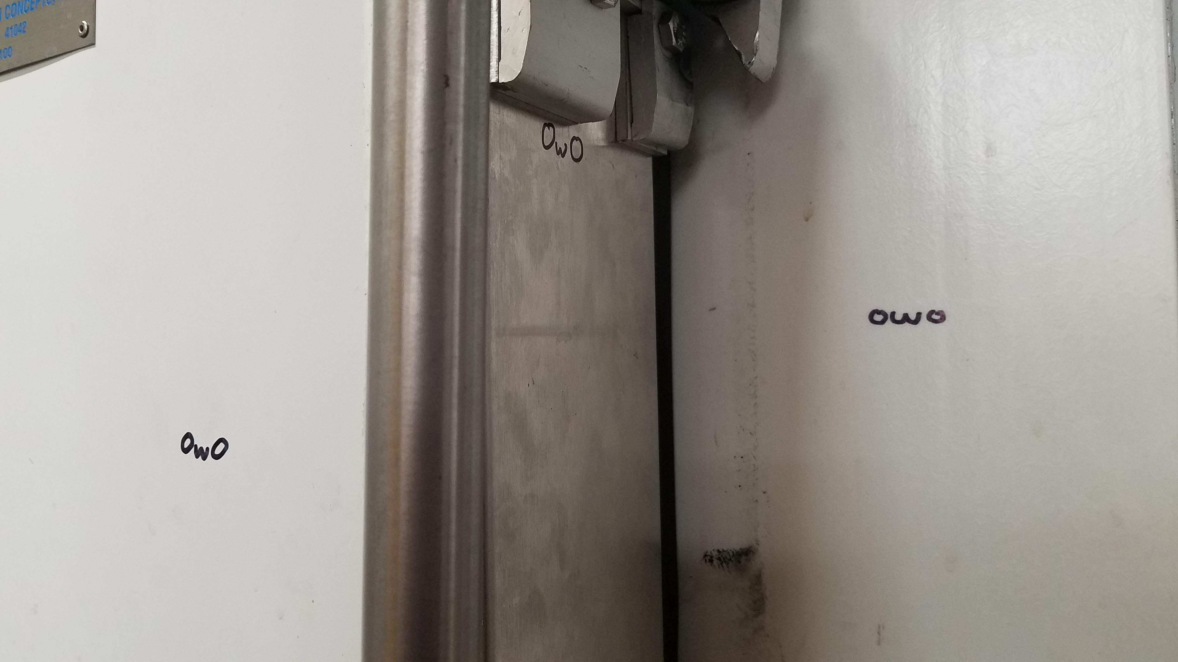 More spotted at work!! 0w0 | Scrolller