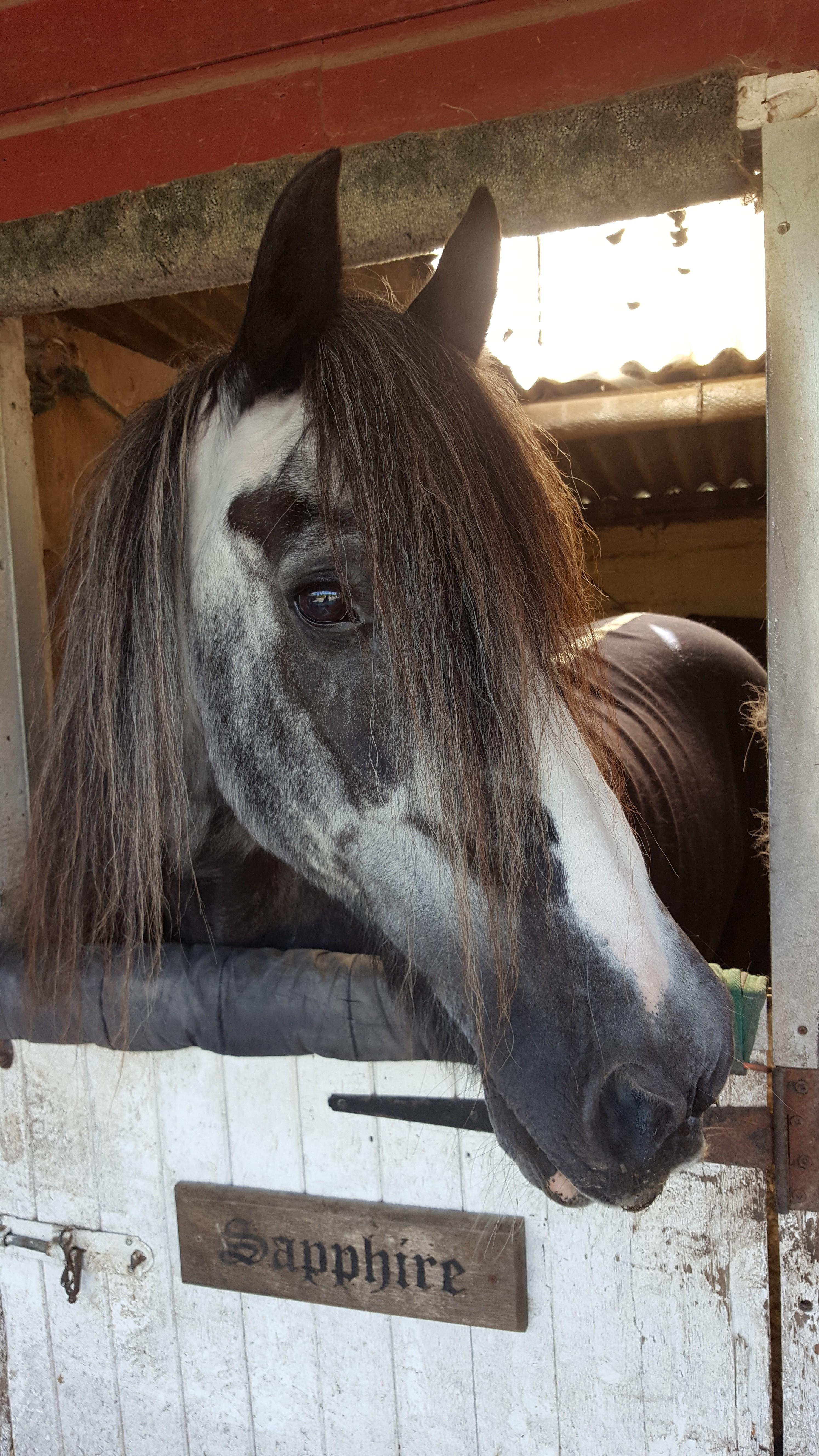 More than just a pretty snoot! | Scrolller