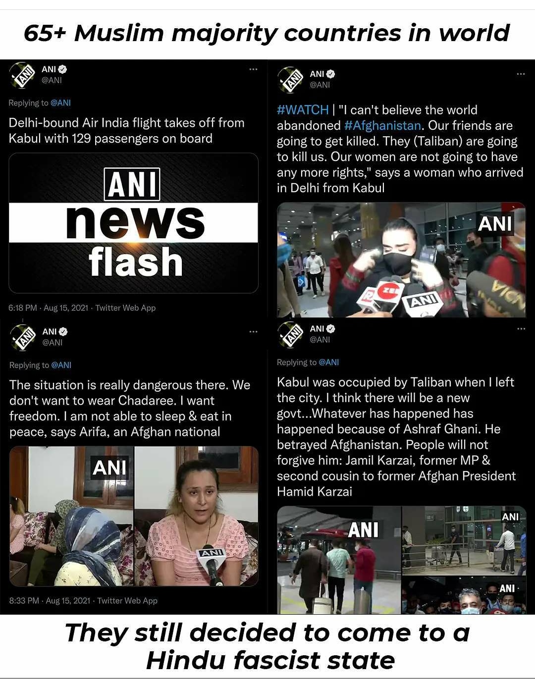 More to come | Scrolller