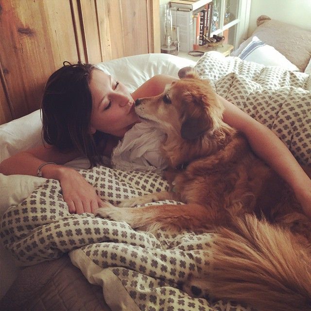 Morning Bandit! | Scrolller