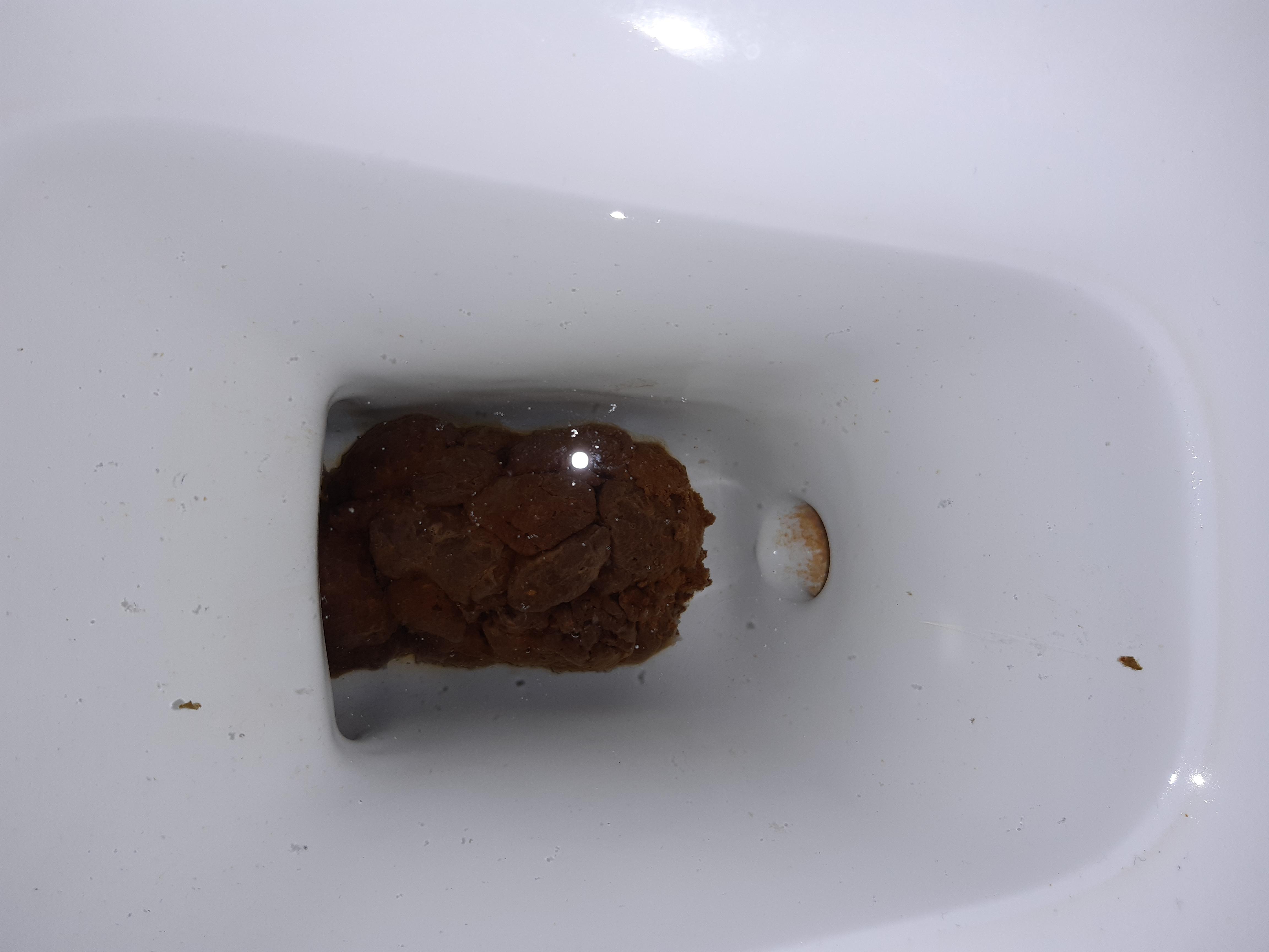 MORNING POOP | Scrolller