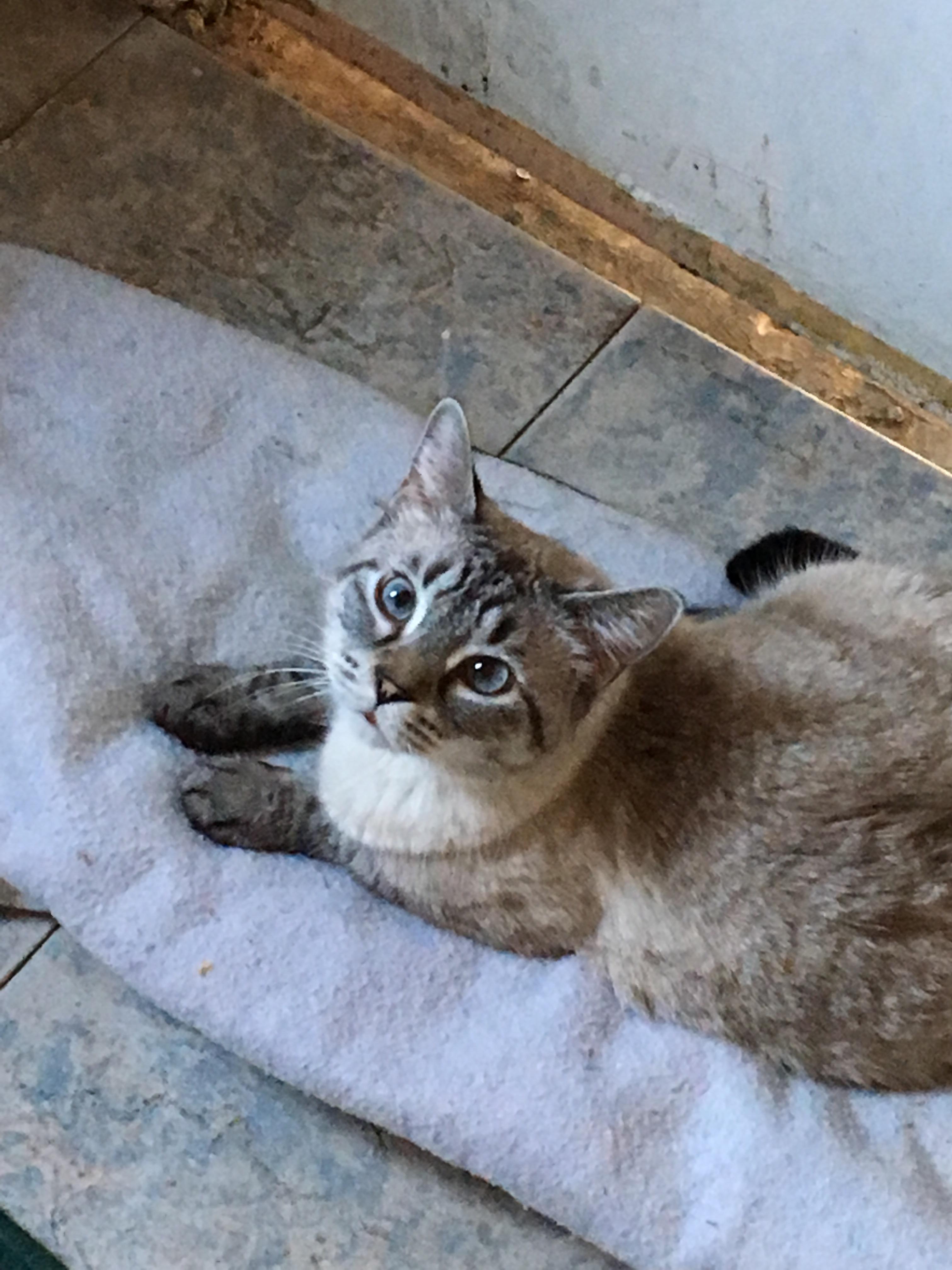 morning with my favorite dude | Scrolller