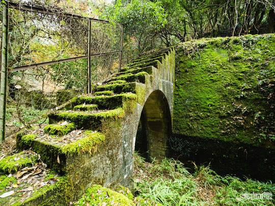 Mossy steps | Scrolller