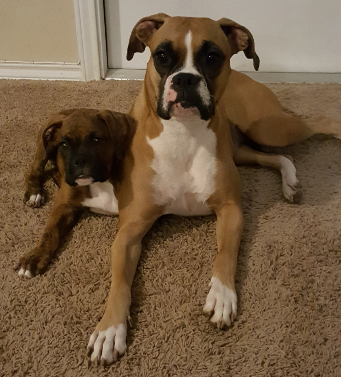 Mother And Son Scrolller