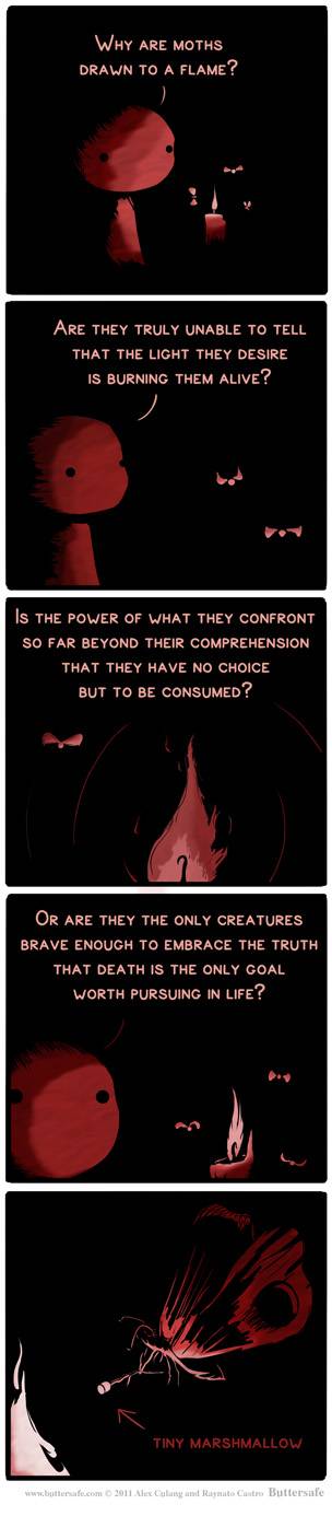 Moths to a flame | Scrolller