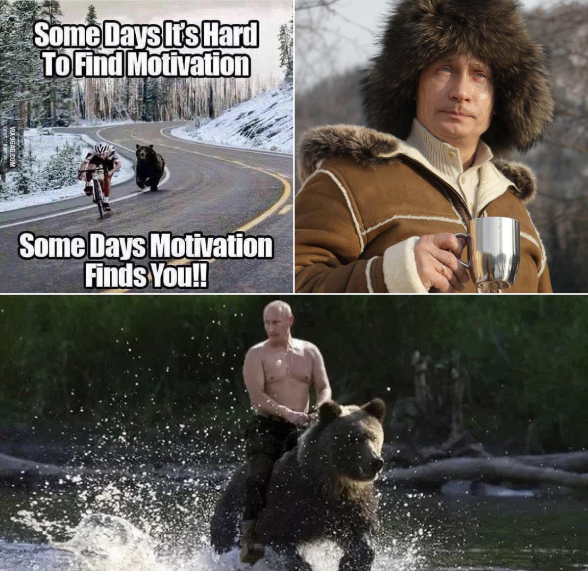 Motivation achieved | Scrolller