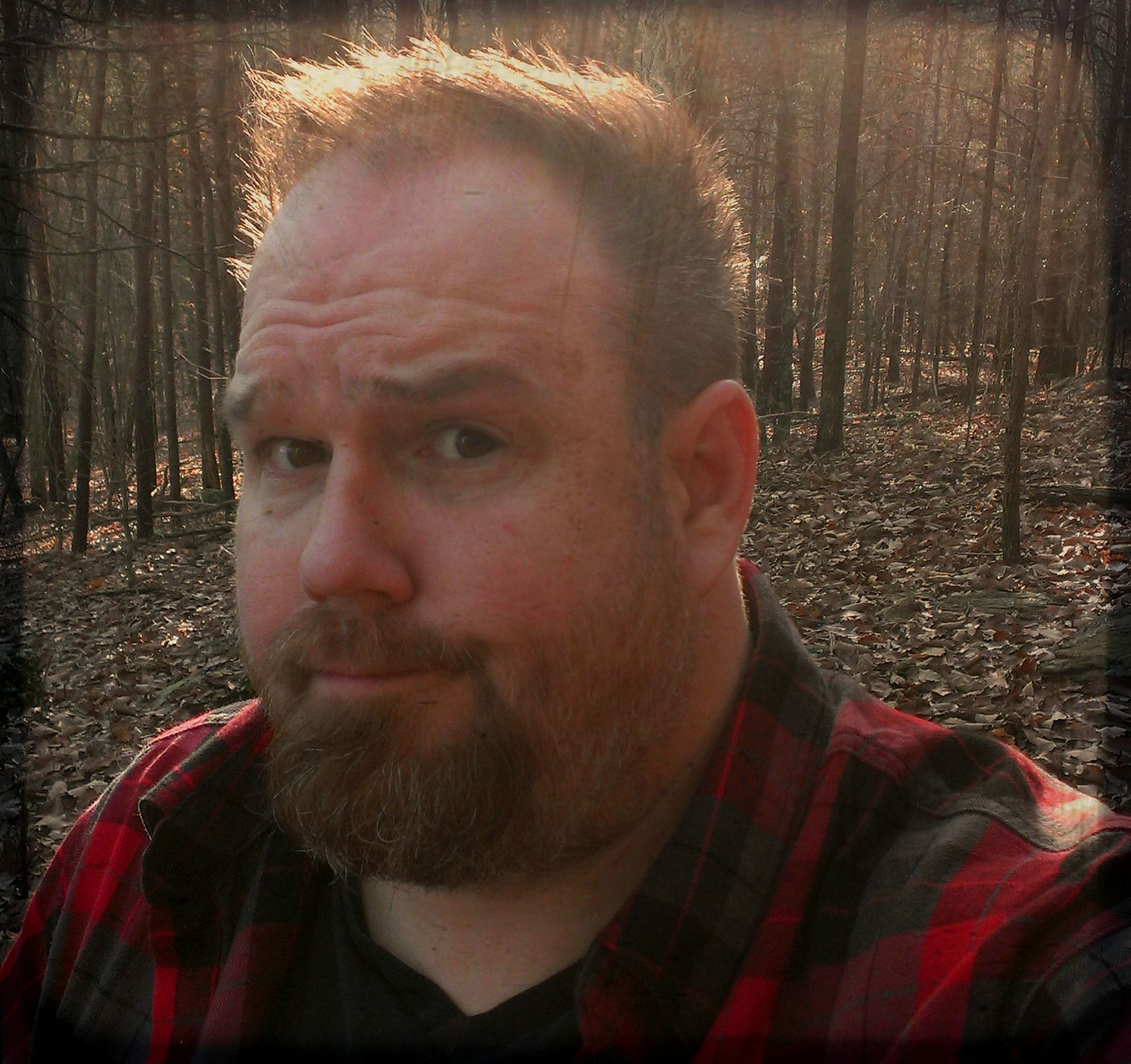 Mountain Bear is Unconvinced | Scrolller