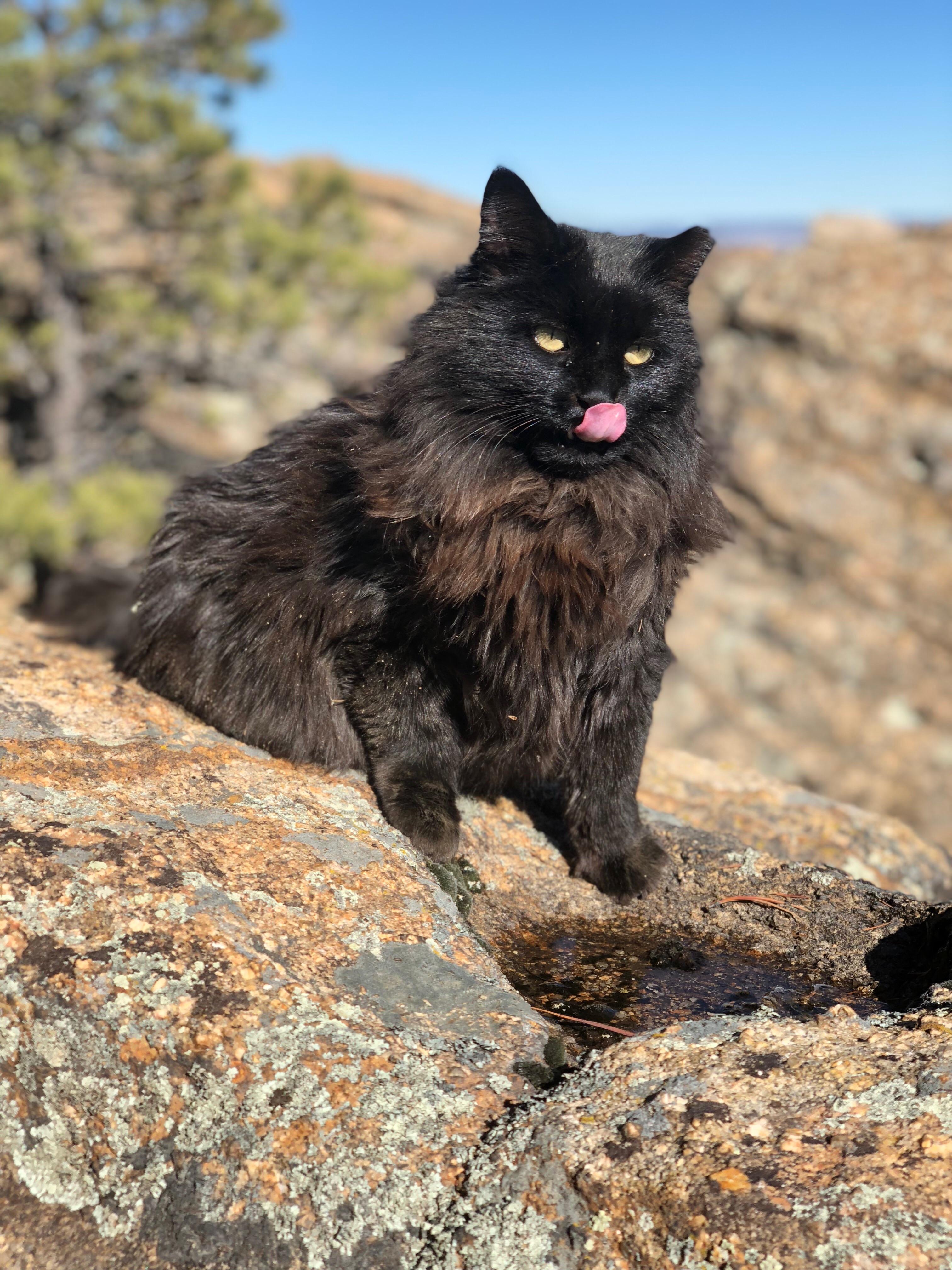 Mountain Mlems | Scrolller