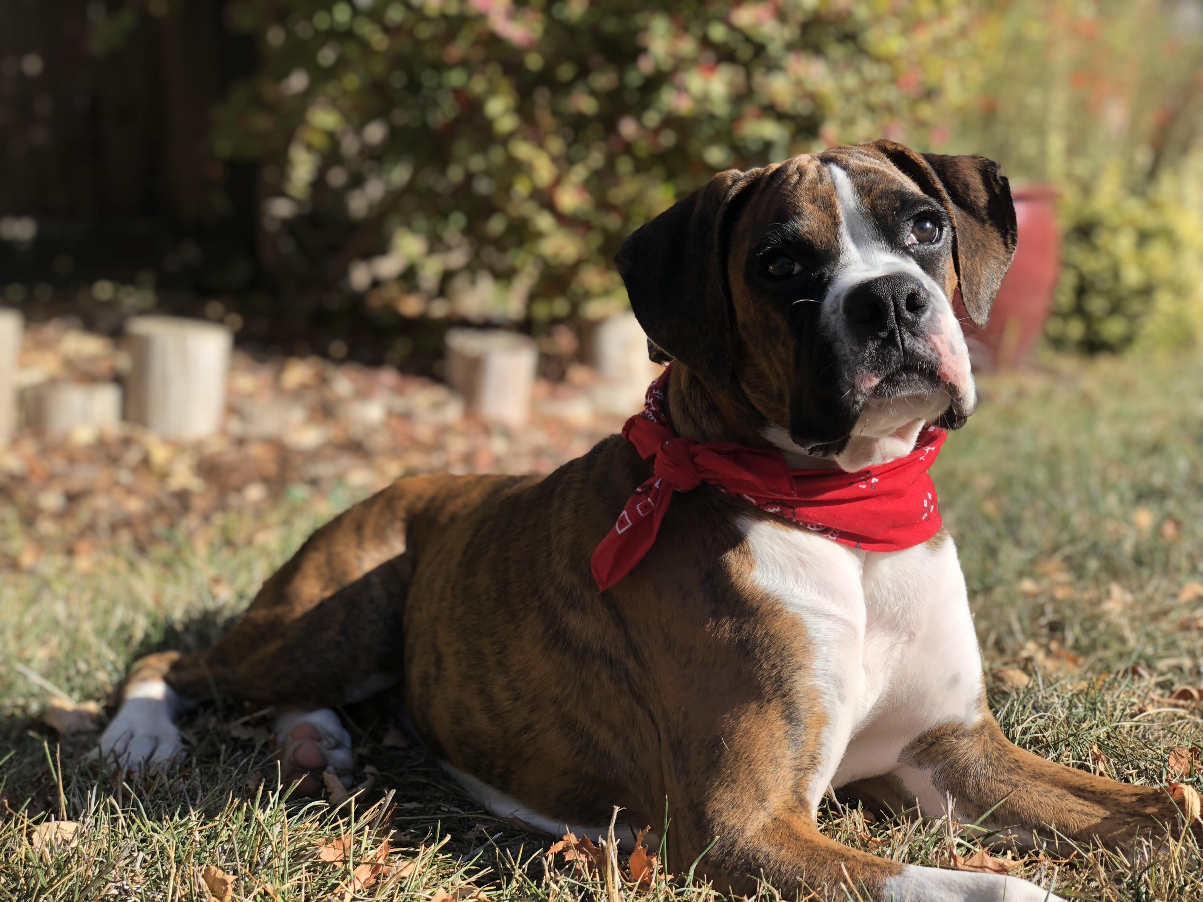 Mr.Brody | Scrolller